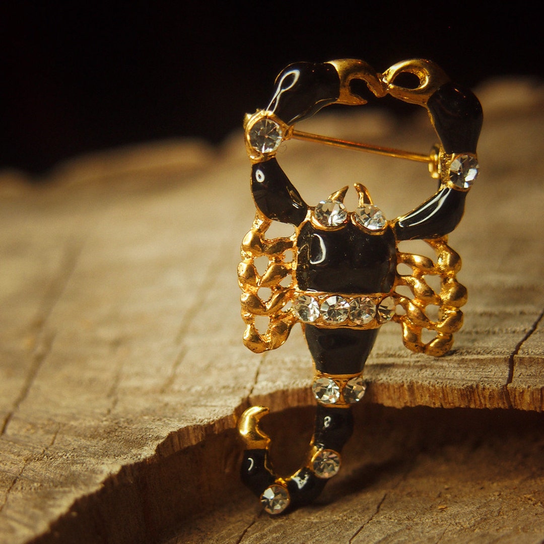 Black Scorpion Brooch Pin, Antique Styled Vintage Costume Jewellery ...