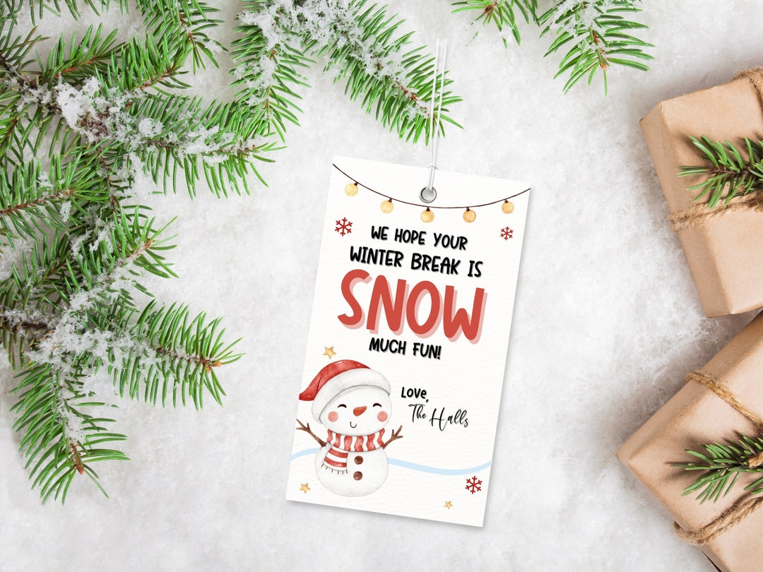 We Hope Your Winter Break is Snow Much Fun| Christmas Season | Merry ...