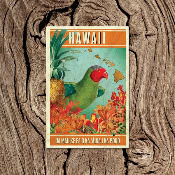 Hawaii Postcard - Etsy