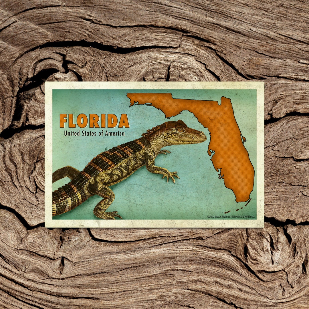 Florida, USA Postcard - Etsy