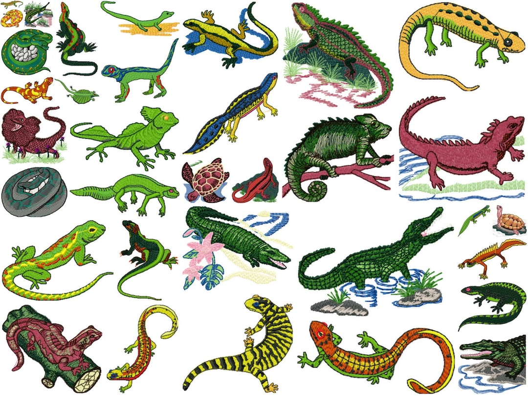 REPTILE Designs for Embroidery Machine, Instant Download - Etsy