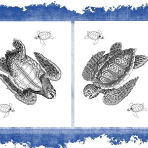 Sea Turtles Coloring Pages With Detailed Designs for Kids and Adults to ...