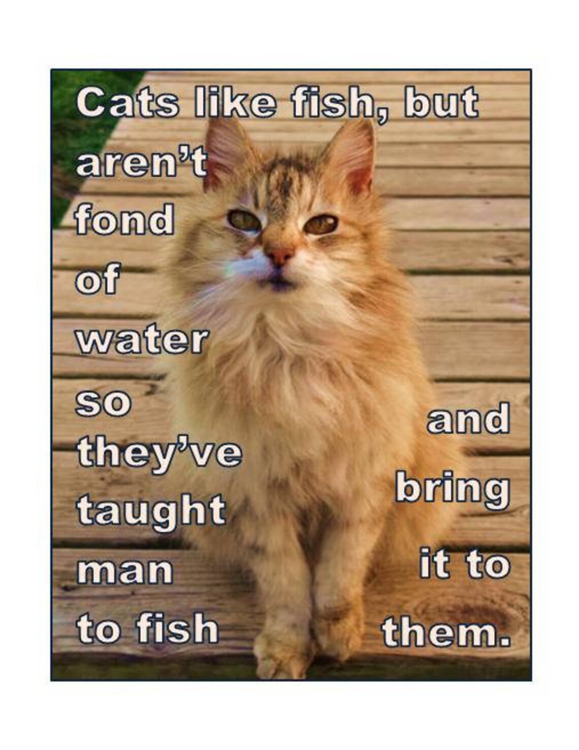 Cats Fish Funny Printable for a Cat Lover or a Fisherman. It is ...