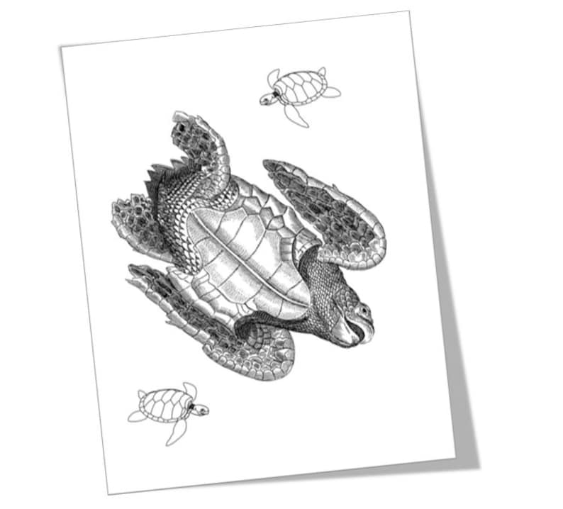Sea Turtles Coloring Pages With Detailed Designs for Kids and Adults to ...