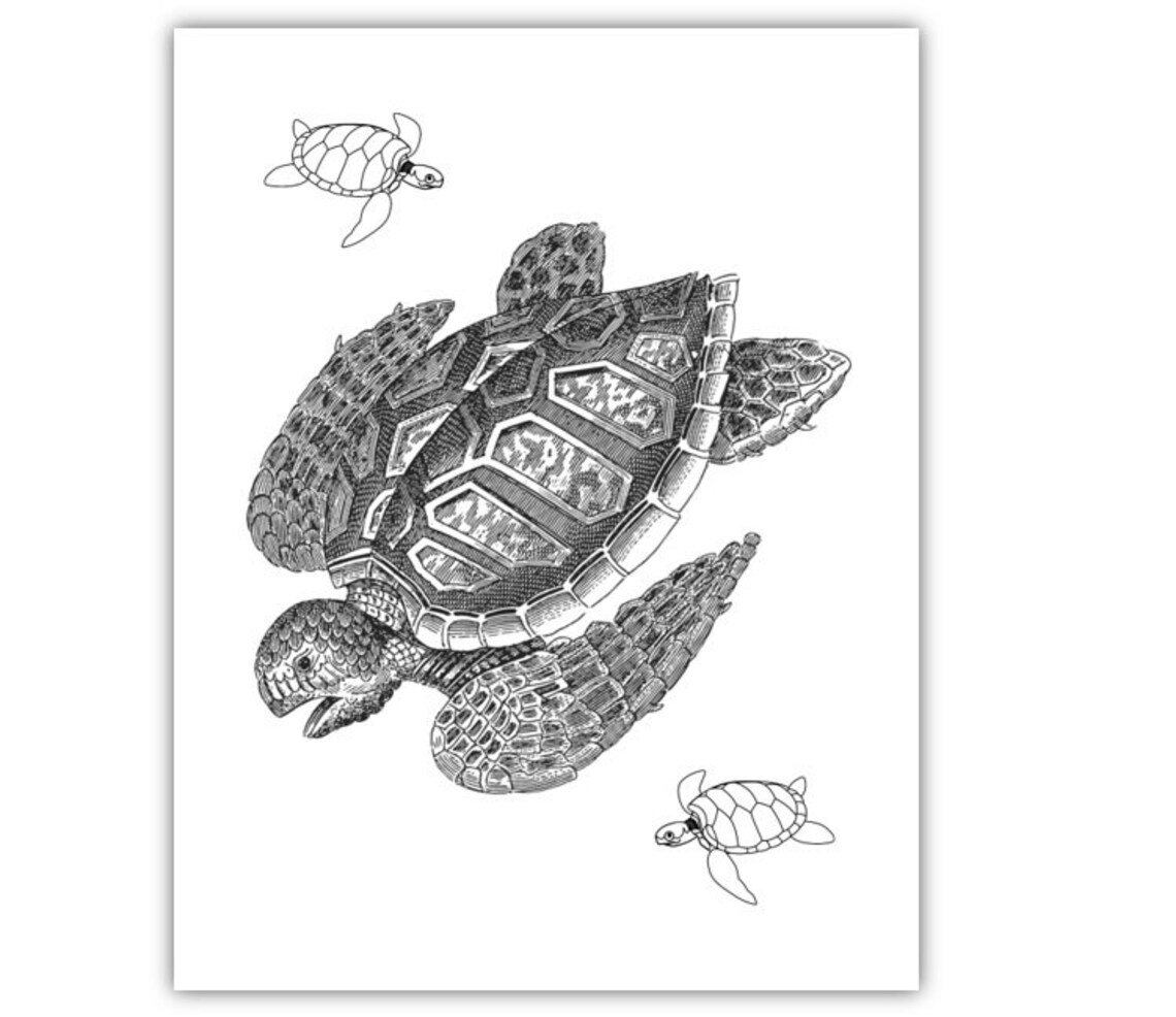 Sea Turtles Coloring Pages With Detailed Designs for Kids and Adults to ...