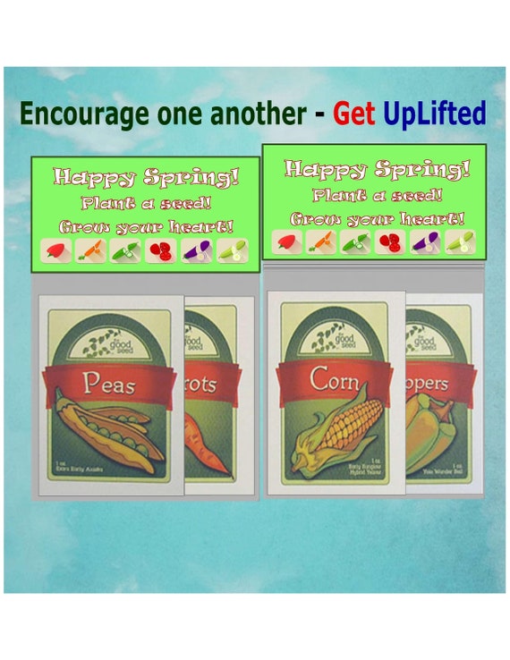 Spring Seed Packet Bag Topper Use as Class Project a Party - Etsy