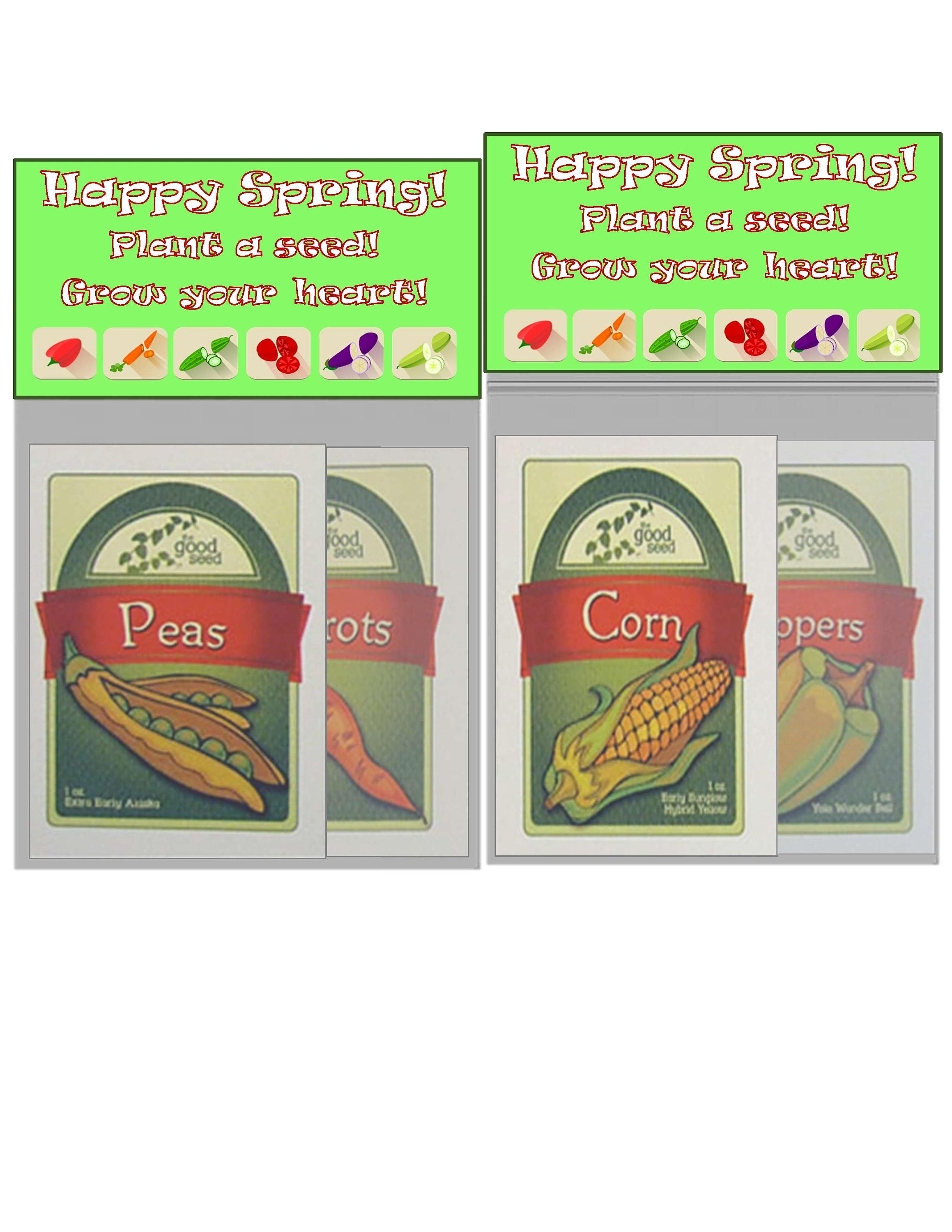 Spring Seed Packet Bag Topper - Use as Class Project, a Party Favor or ...