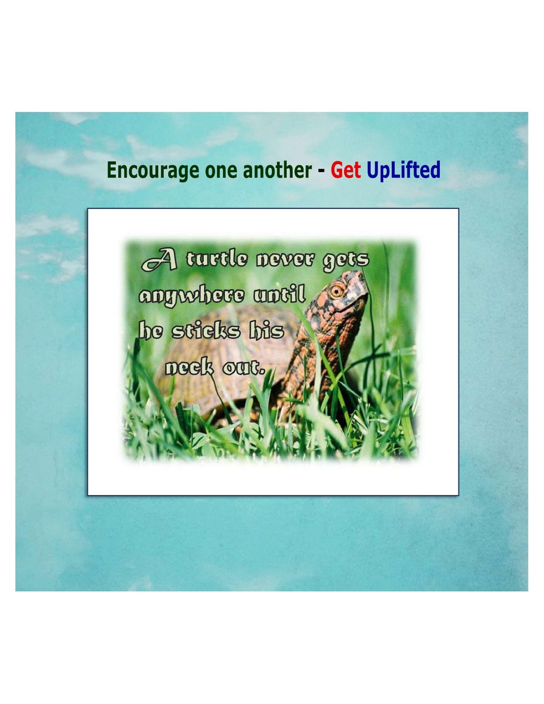Turtle Motivational/wisdom Printable for the Home, Workplace, or ...