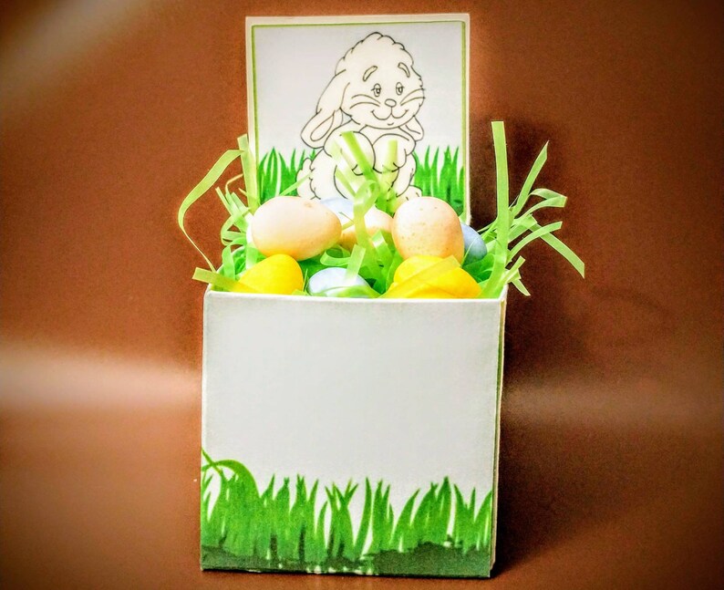 Spring/easter Bunny Mini Gift Box-a Craft Project for Kids and Adults ...