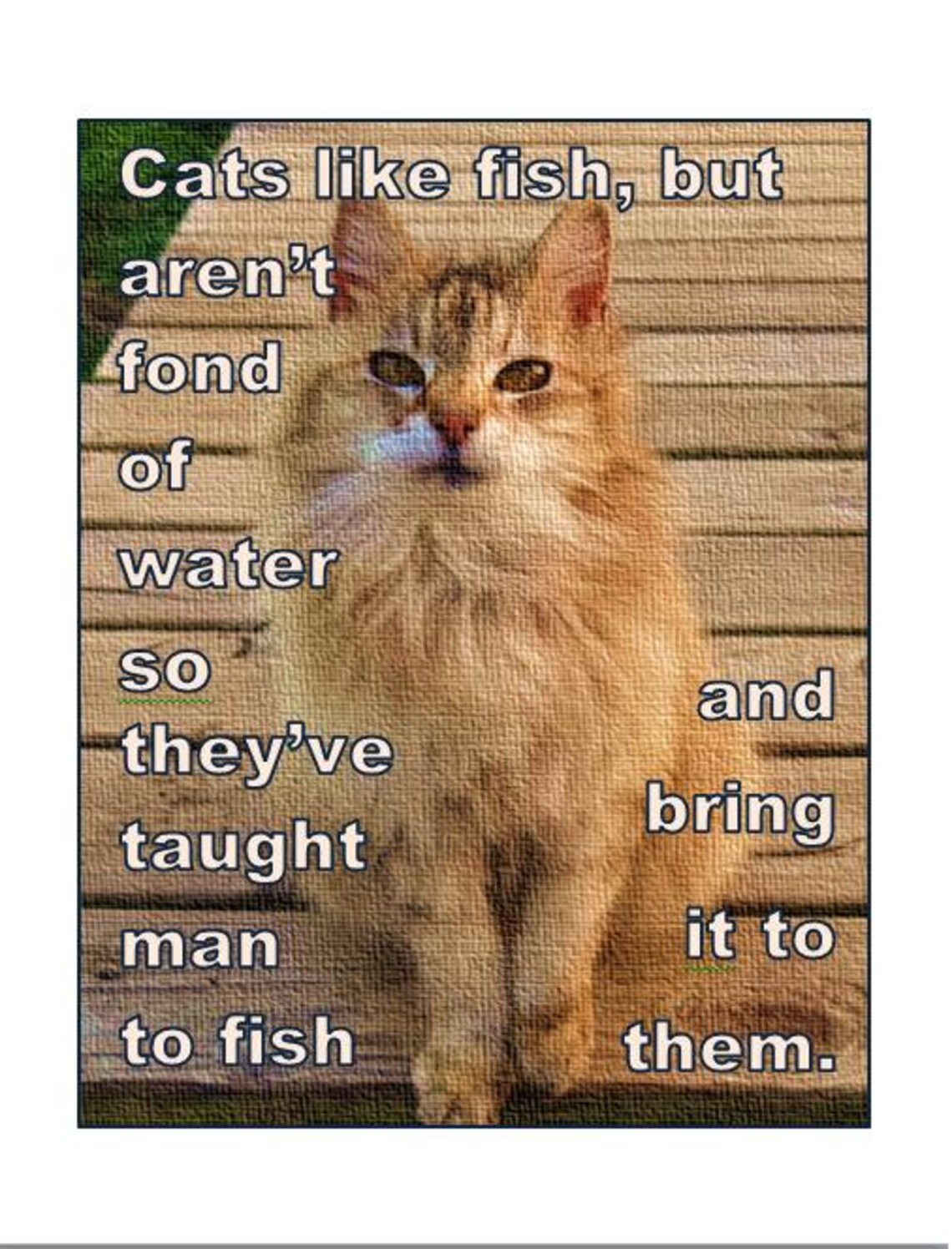 Cats Fish Funny Printable for a Cat Lover or a Fisherman. It is ...