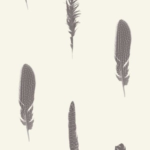A4 Swatch Feather Wallpaper, Modern Country Home Wallpaper, Bird ...