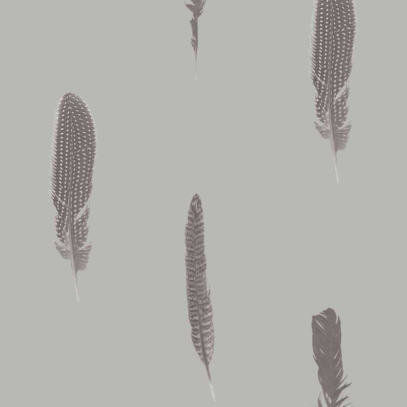 A4 Swatch Feather Wallpaper, Modern Country Home Wallpaper, Bird ...