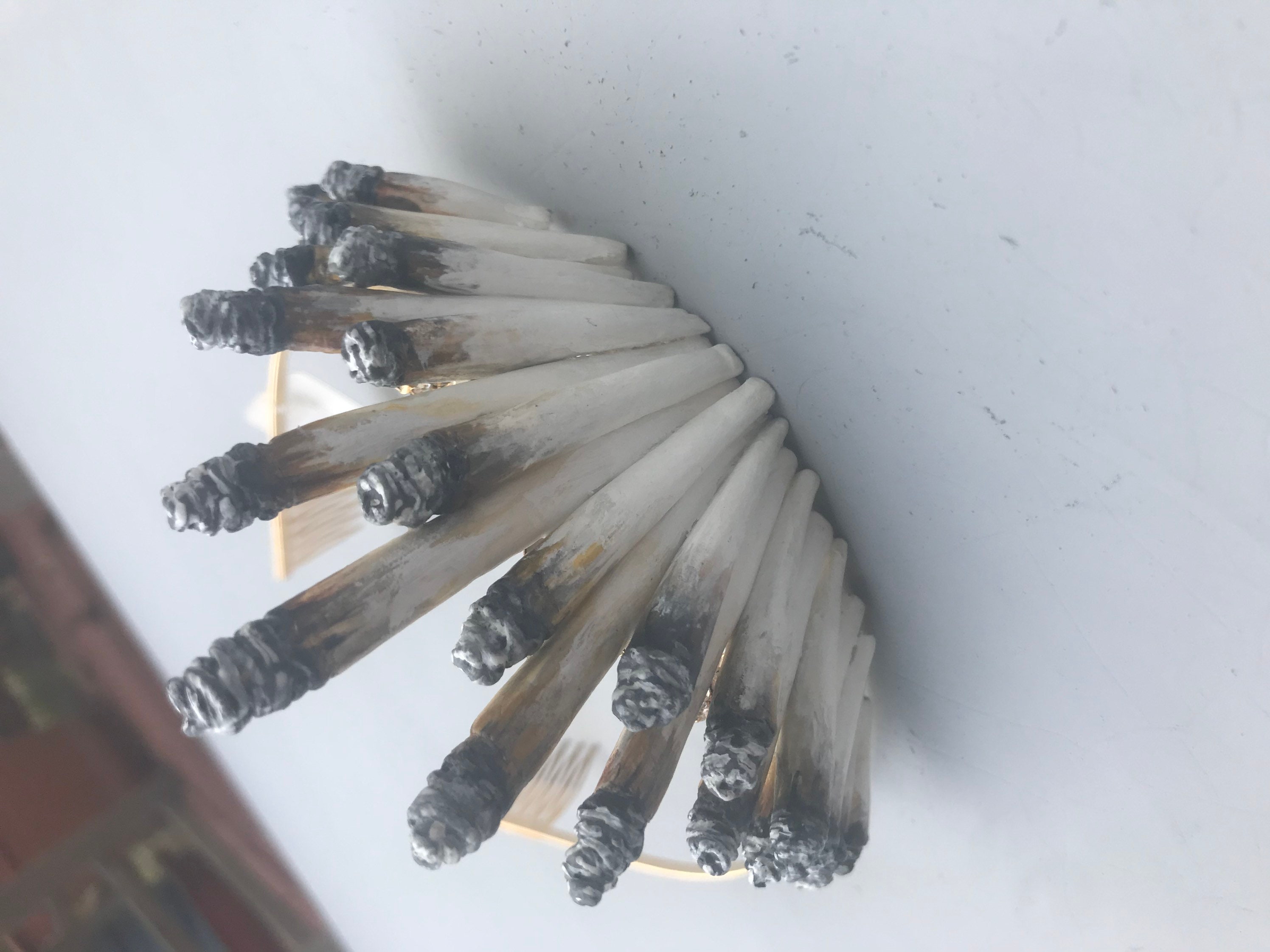 Joint Crown Marijuana Princess Ganja Queen Stoner Royalty 420 - Etsy