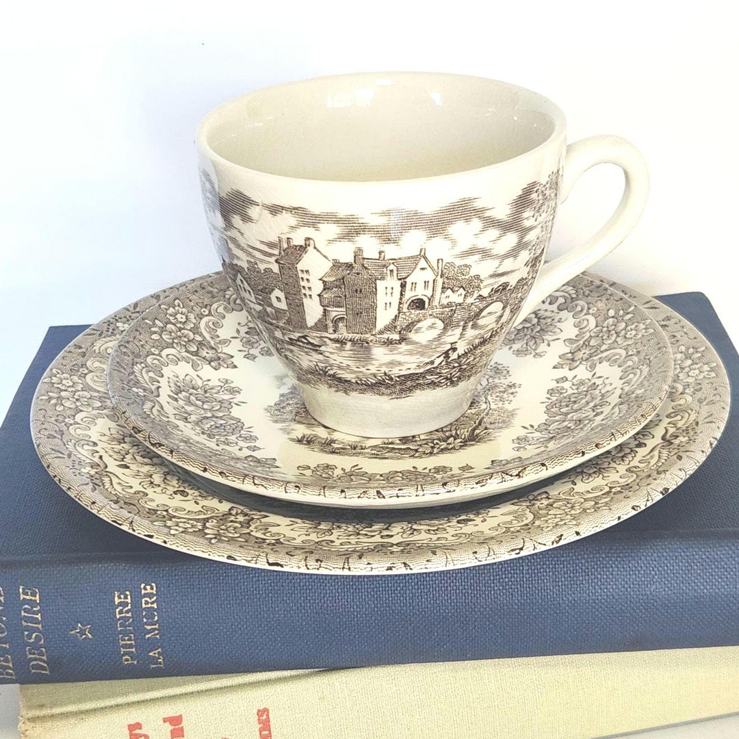 Vintage Ironstone Tea Cup Saucer and Plate Set Vintage Ironstone ...