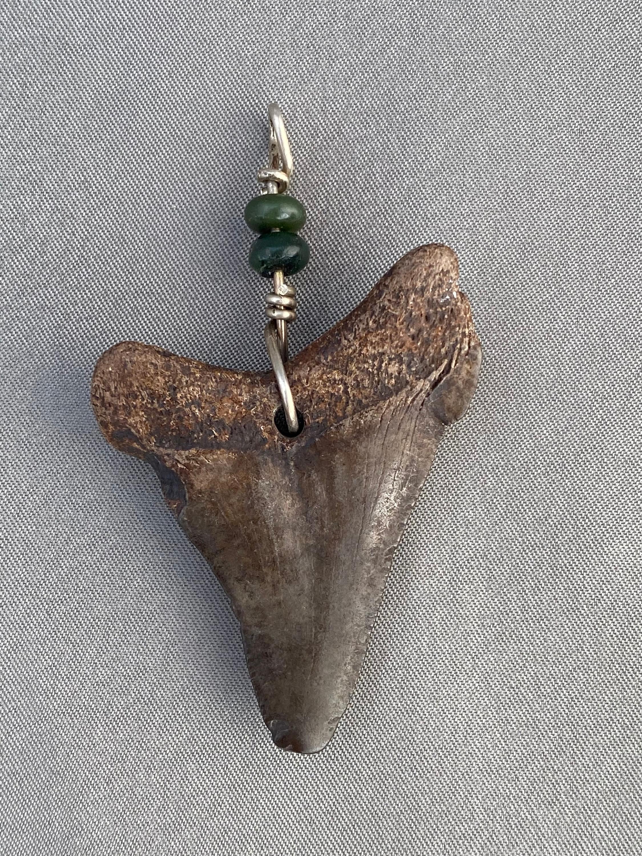 Megalodon Fossil Tooth Necklace - Etsy