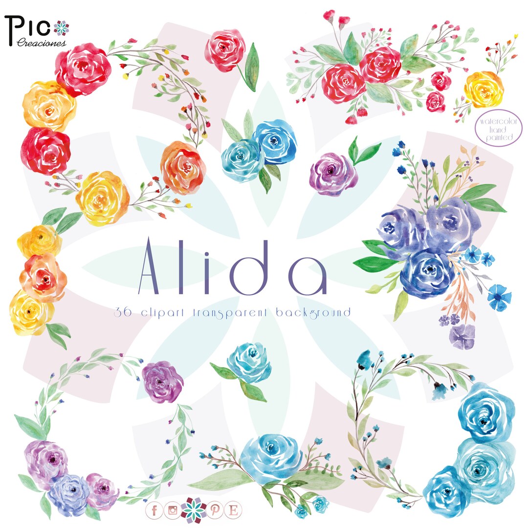 Alida, Watercolor Cliparts Transparent Background 300 Dpi, Flowers ...