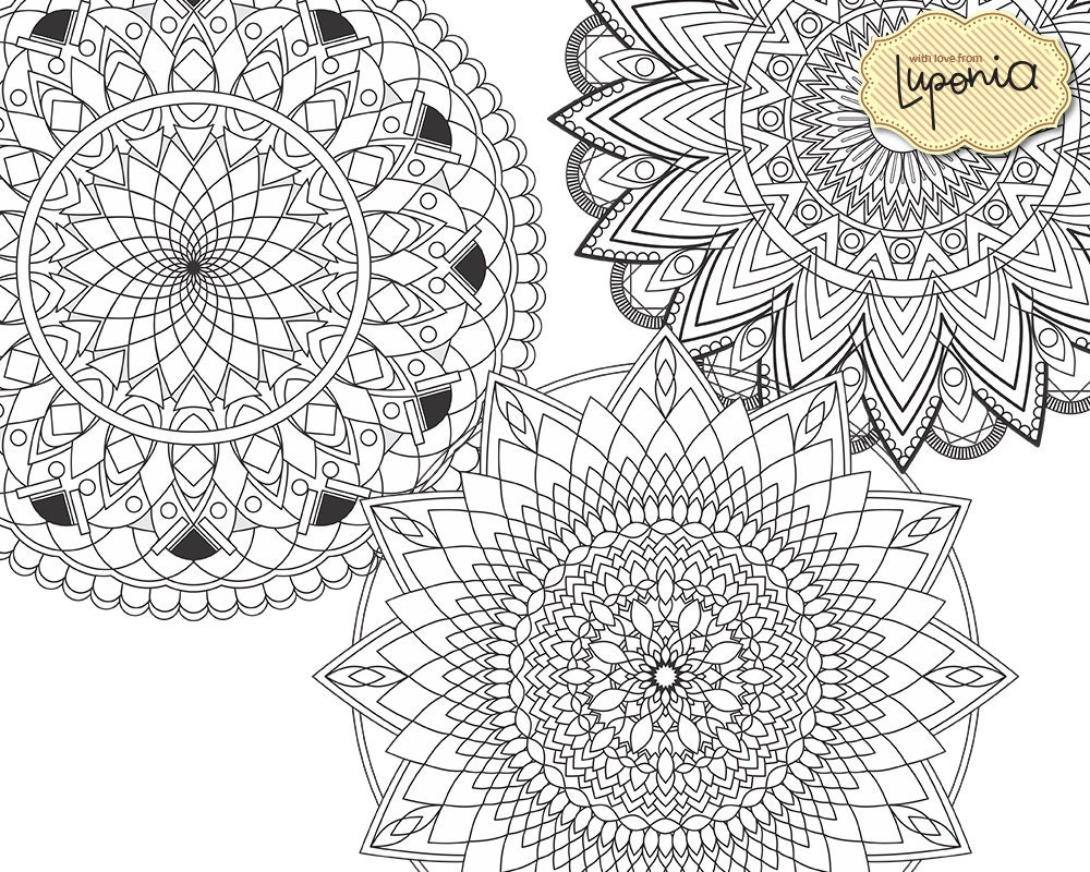 Mandalas Coloring Book multiple Levels Painting Book 12 - Etsy