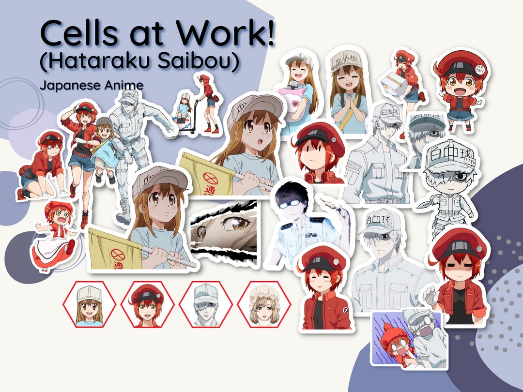 Cells at Work!(hataraku Saibou) Sticker Set | Laptop Sticker | Journal ...