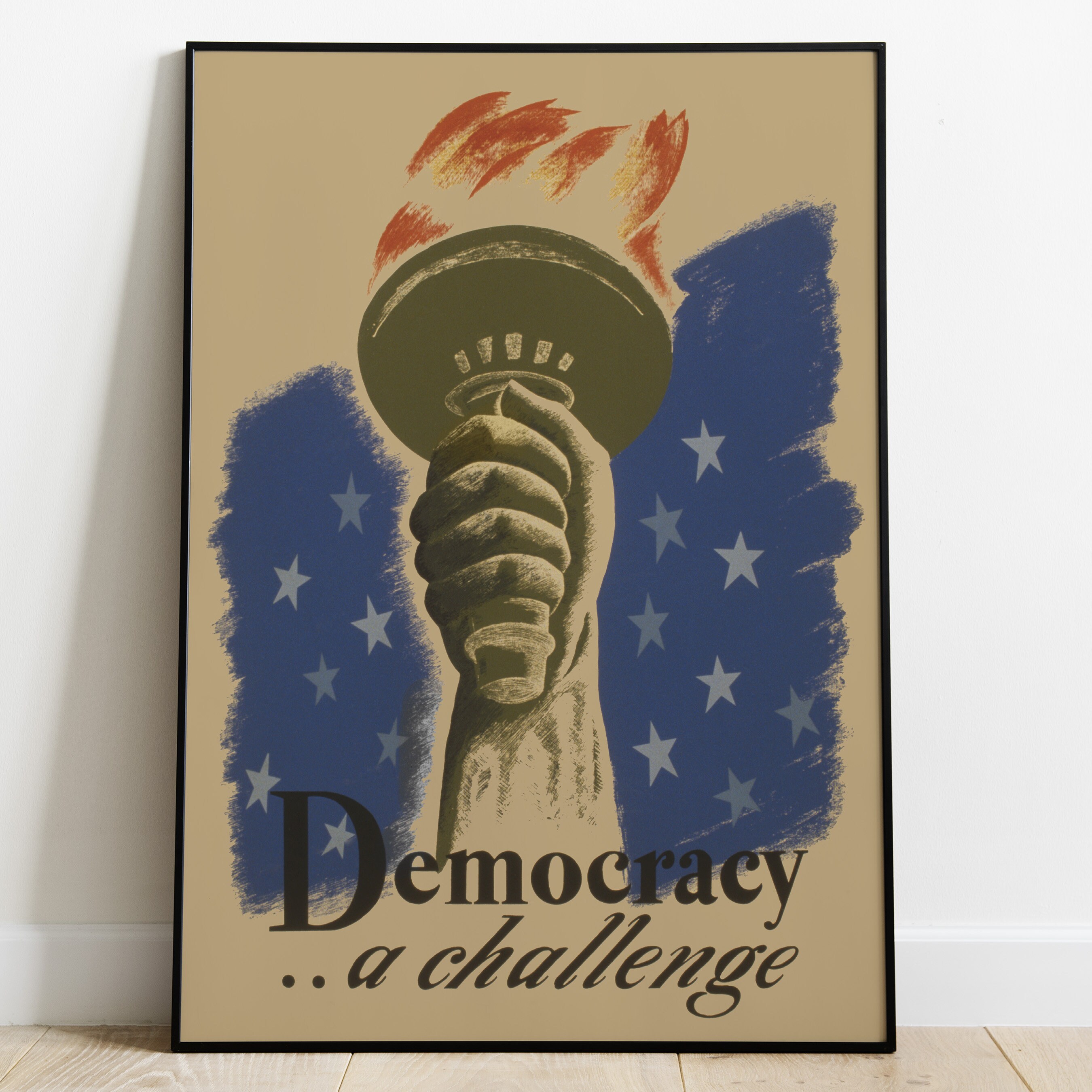 Democratic Government Poster