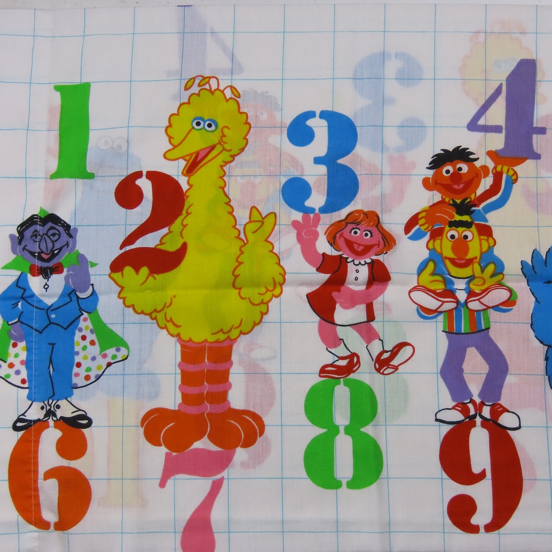 Vintage Sesame Street Standard Pillowcase - Etsy