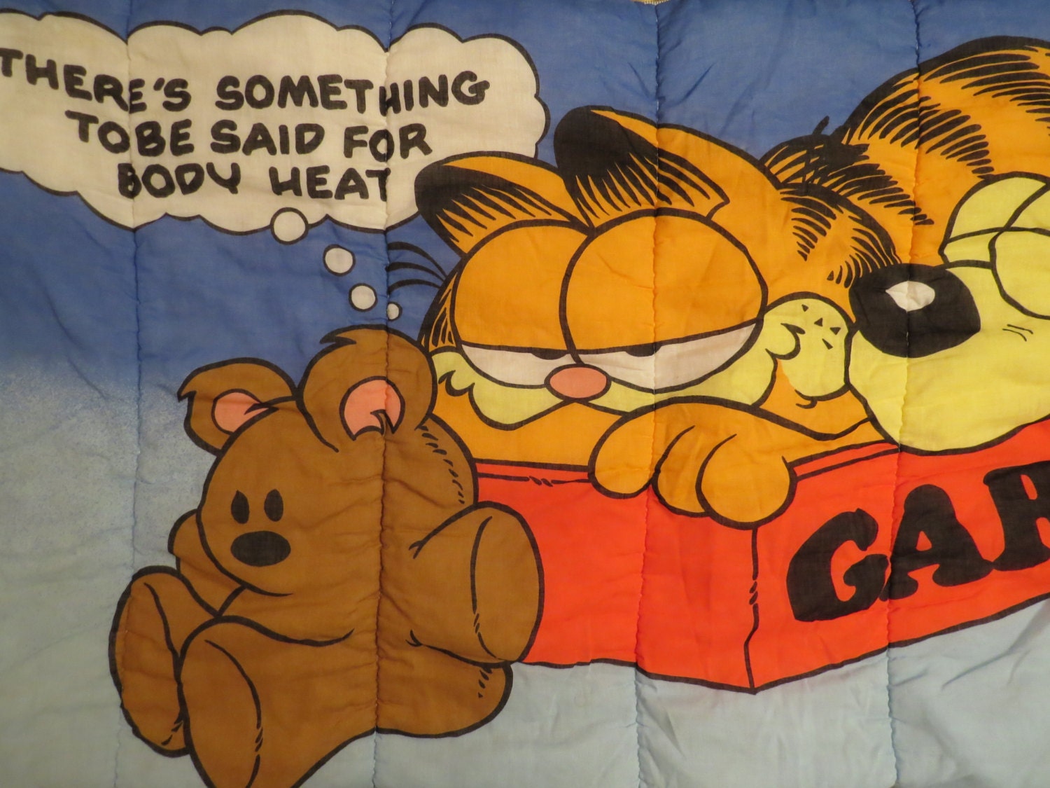 Sleeping Garfield