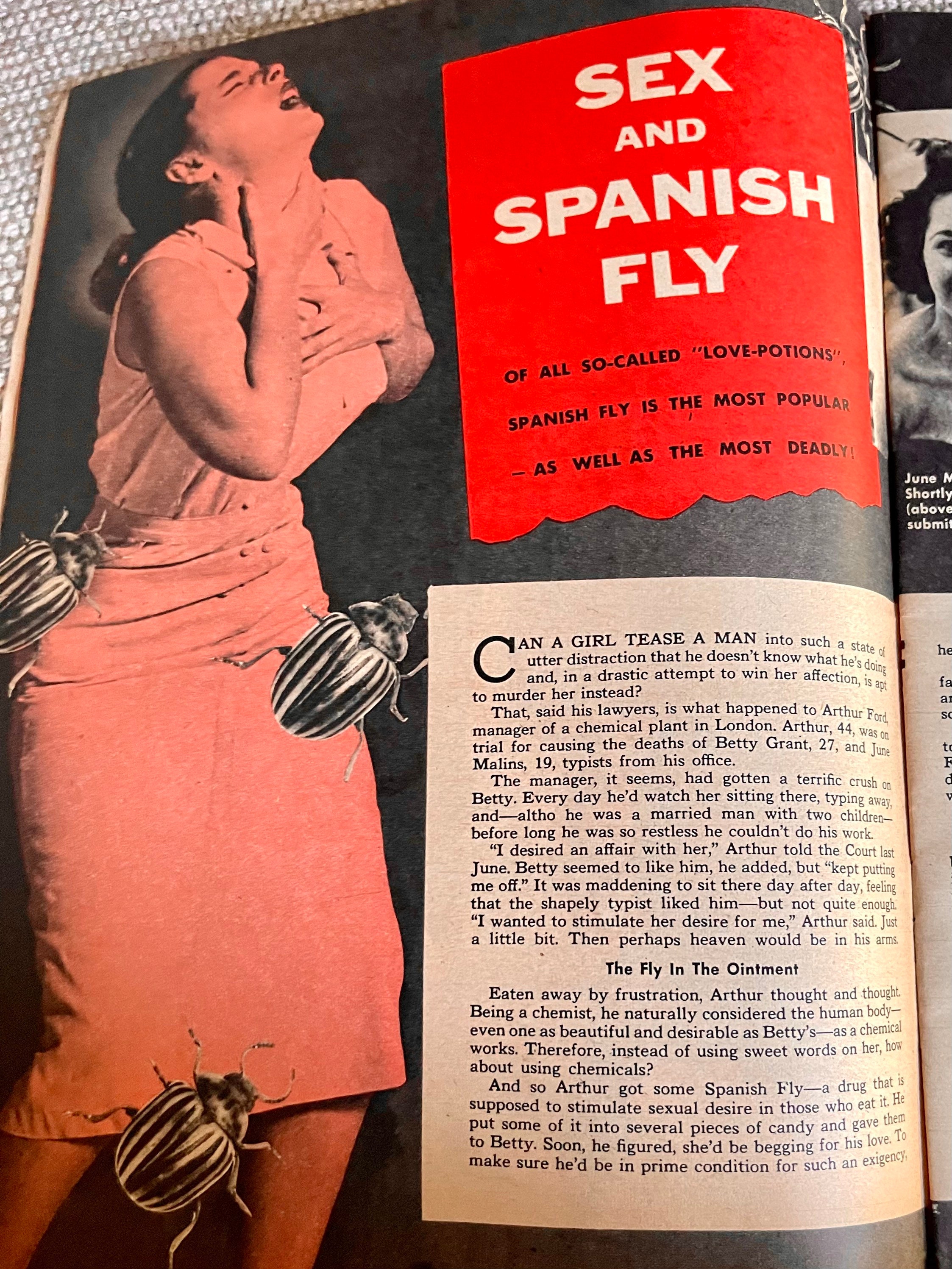Collection of 50s Sexy Magazines. Bagged and in Good Condition Cute and ...