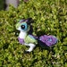 Skylar the Hummingbird Dragon - Etsy