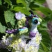 Skylar the Hummingbird Dragon - Etsy