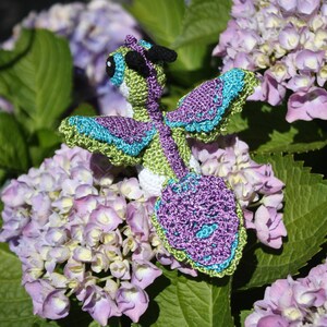 Skylar the Hummingbird Dragon - Etsy