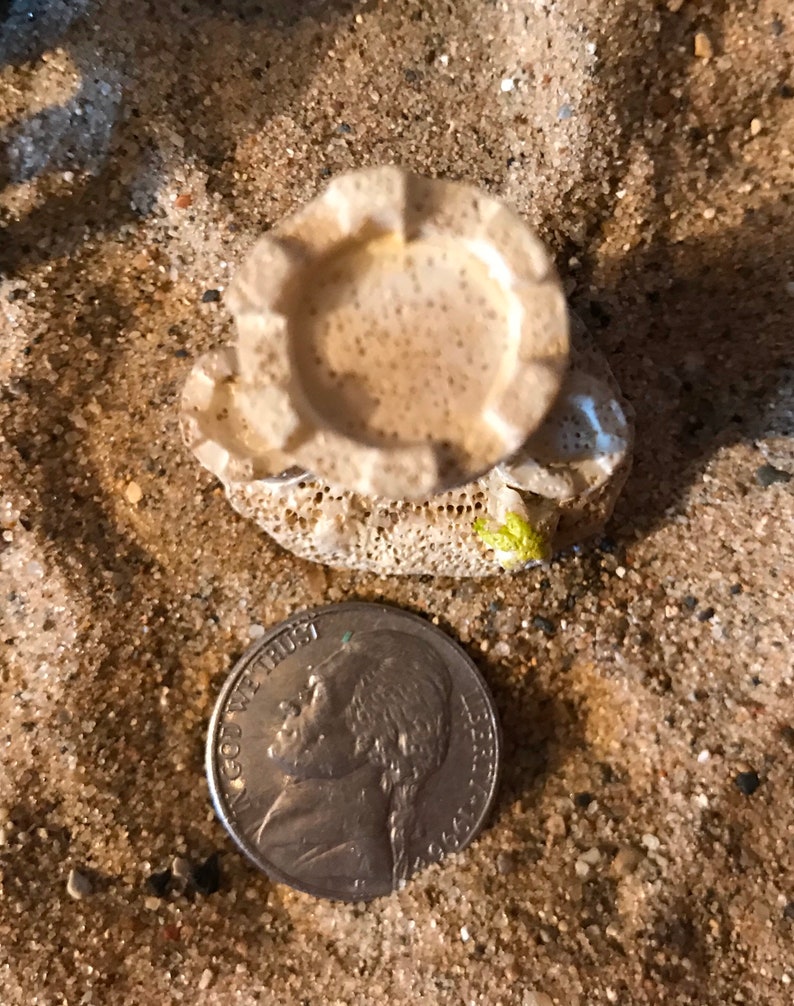 Miniature Sand Castle for Beach Garden Supply Miniature Fairy | Etsy