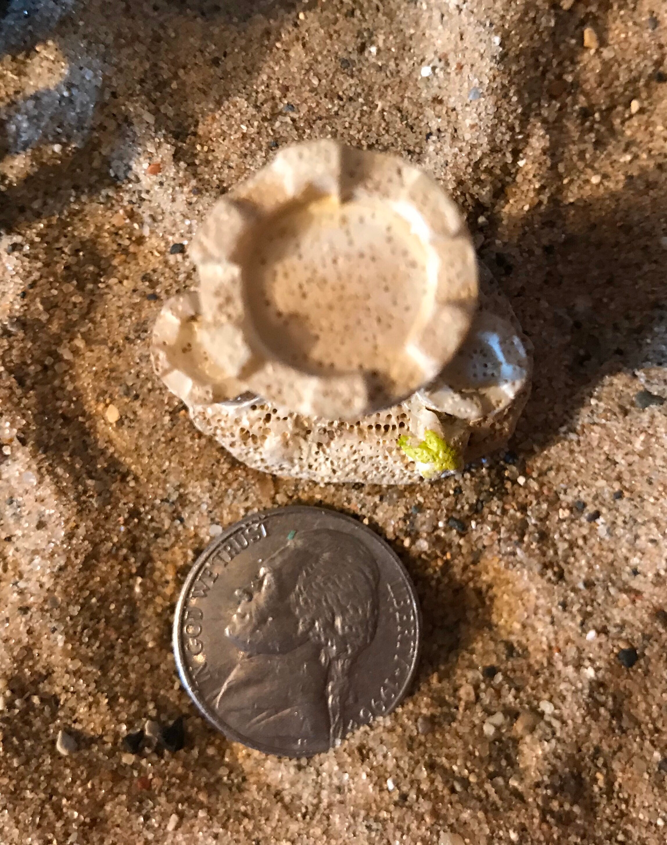 Miniature Sand Castle for Beach Garden Supply Miniature Fairy | Etsy