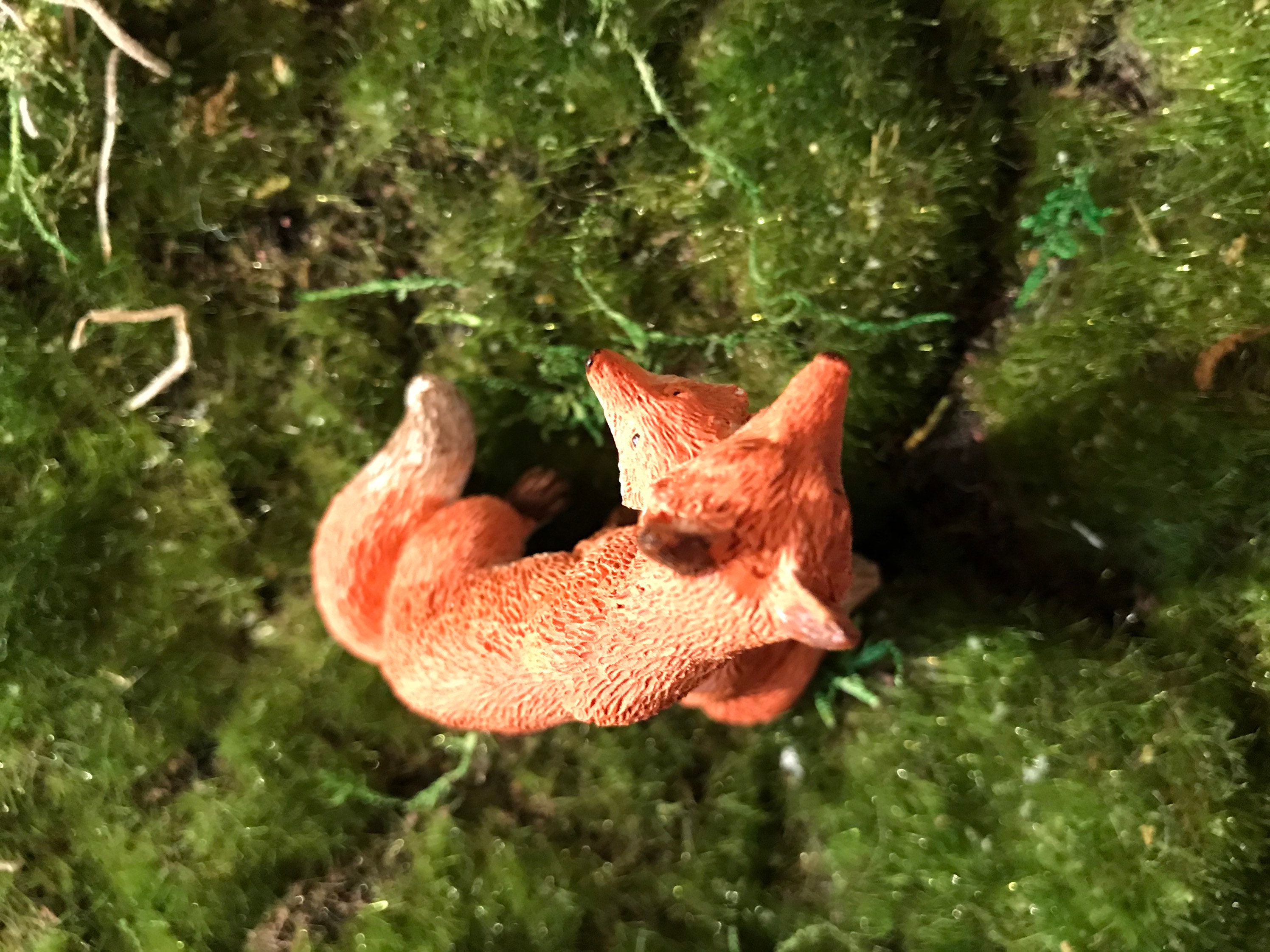 Sweet Fairy Garden Mama and Baby Red Fox Miniature Red Fox. | Etsy