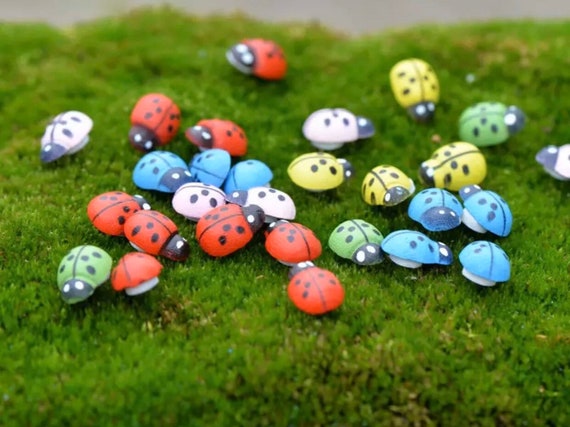 Self Adhesive Lady Bug Favors 20-piece Blue Green Pink Red - Etsy