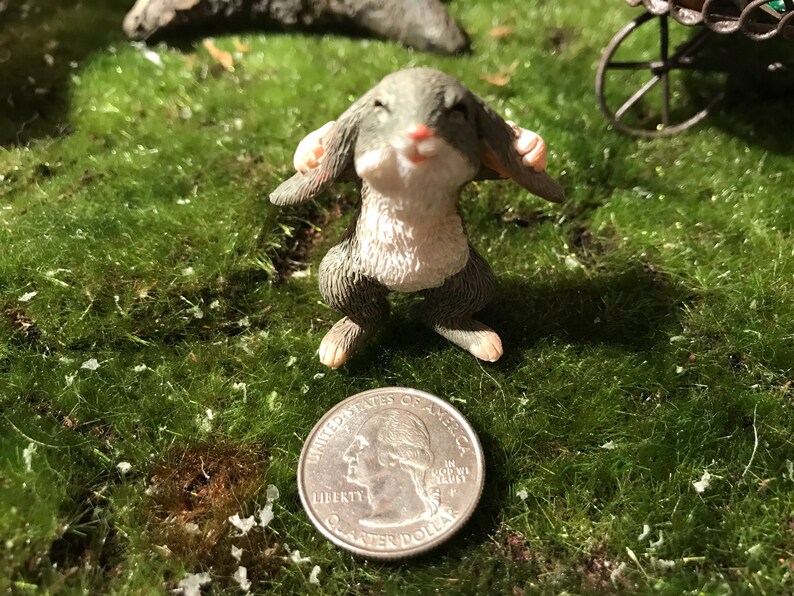 Adorable Rabbit Pulling His Ears. Bunny Rabbit Floppy Ears | Etsy