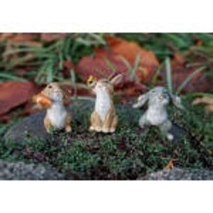 Adorable Rabbit Pulling His Ears. Bunny Rabbit Floppy Ears, Fairy ...