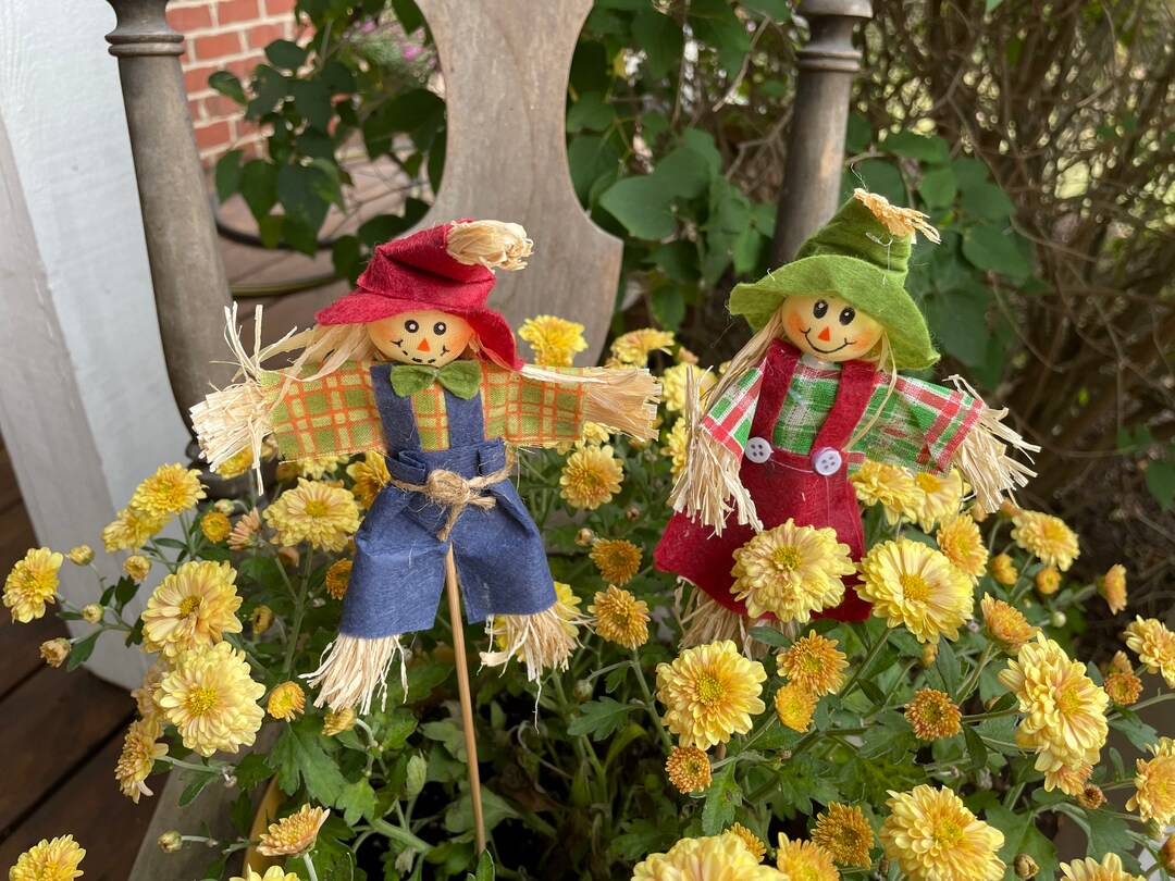 Miniature Scarecrow for Fall Decorations Flower Arrangements Male and ...