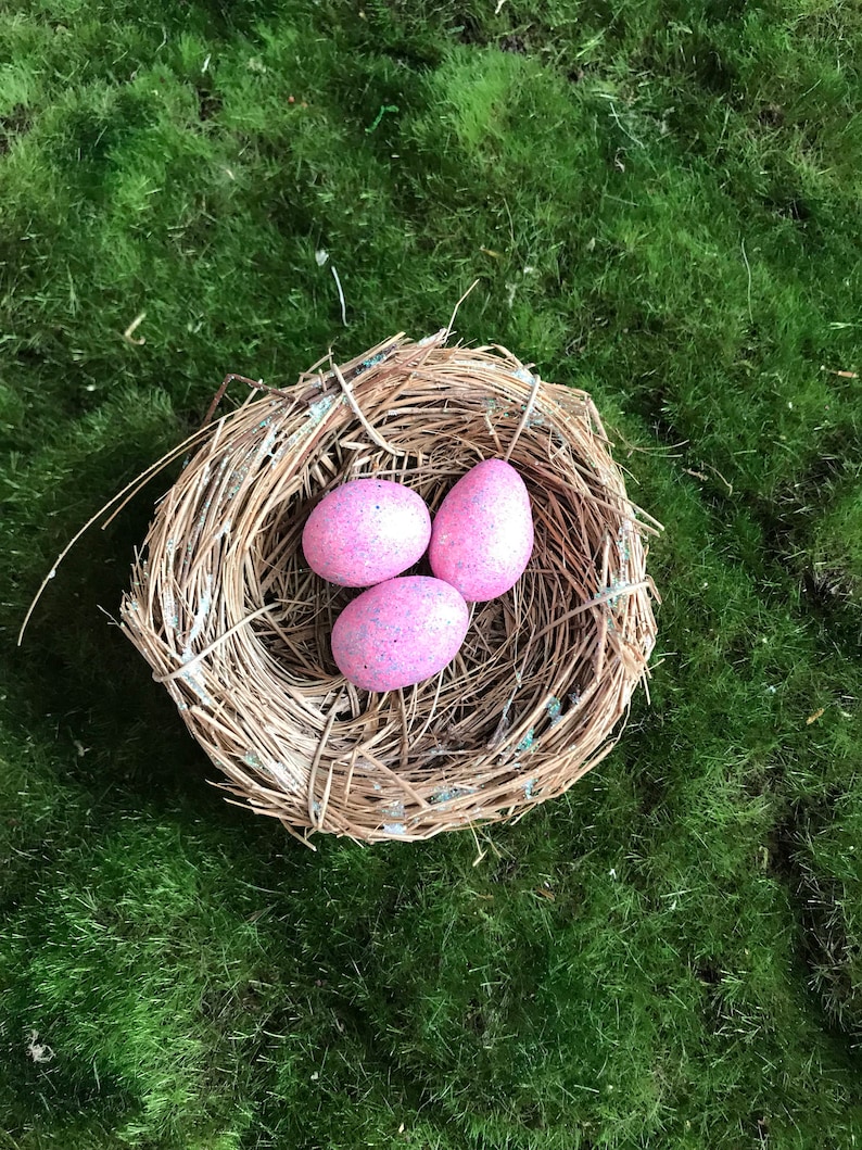 Pink & Blue Eggs in a Glitter 3 Bird Nest Ornament. Find - Etsy