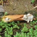 Sweet Bunny Rabbits Playing in a Leaf. Miniature Bunny Rabbits - Etsy
