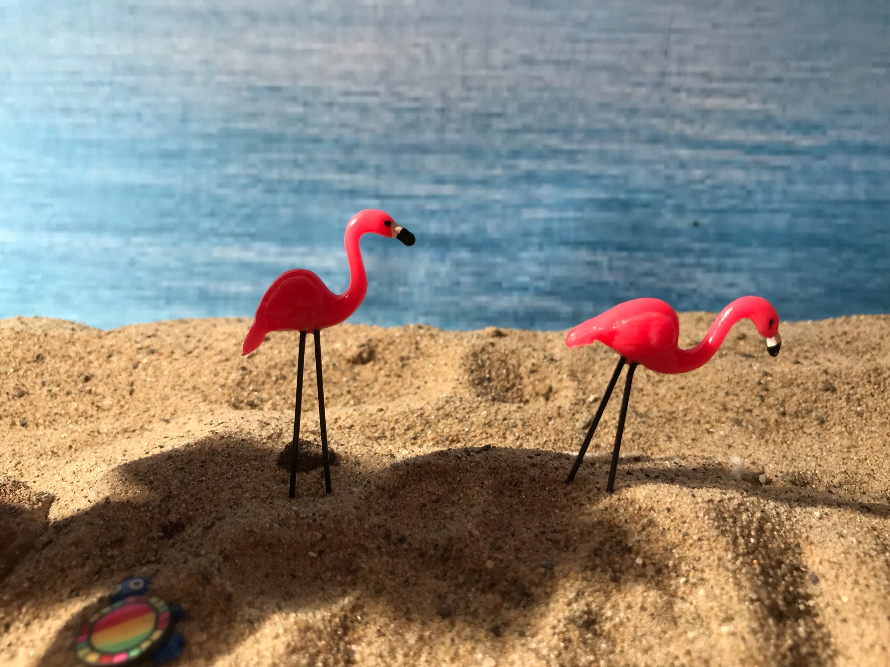 Mini Pink Flamingo Pair Fairy Garden Terrarium Supply - Etsy