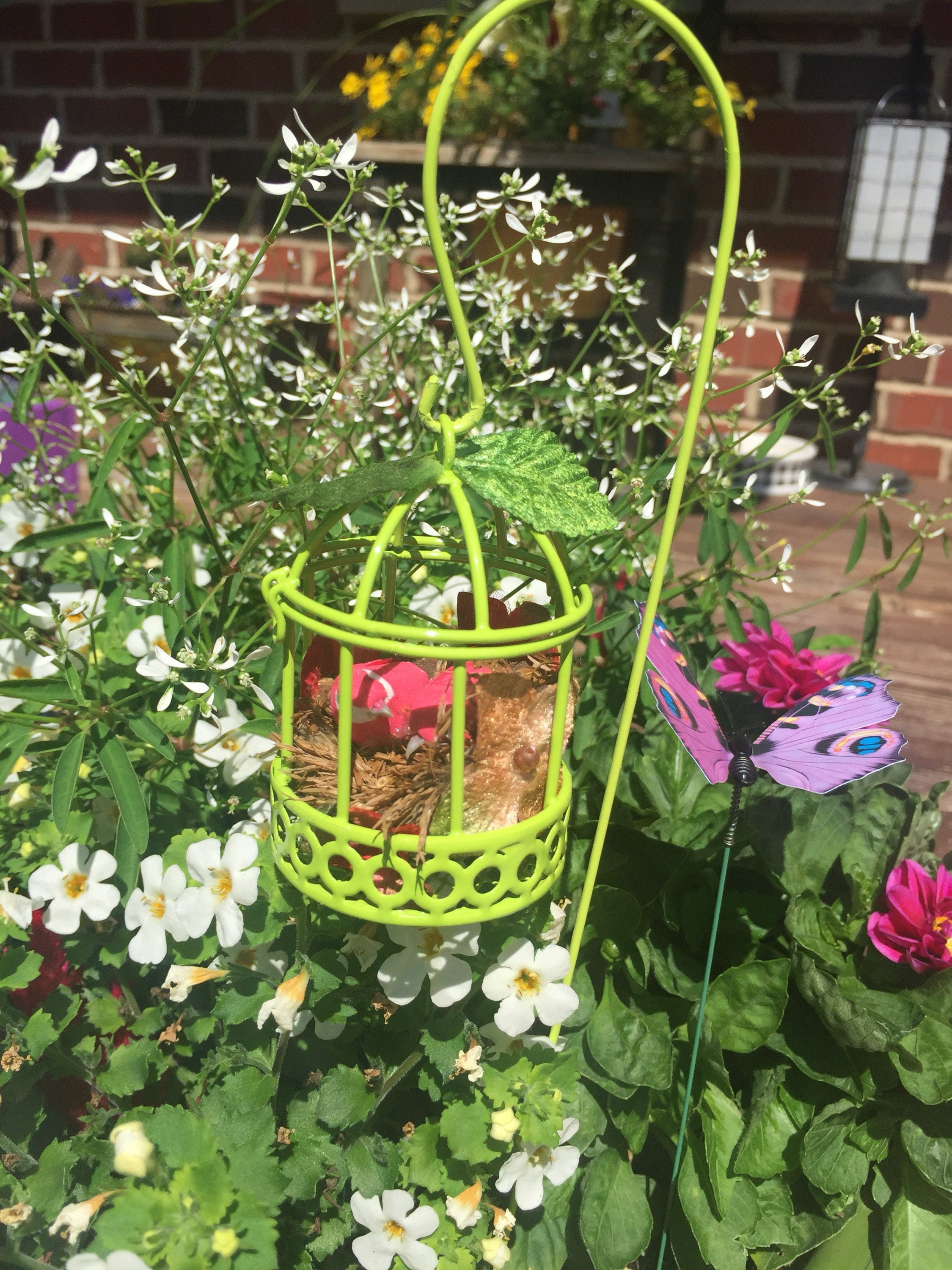 Adorable Lime Green Mini Birdcage With Hinged Top and Hook. A - Etsy