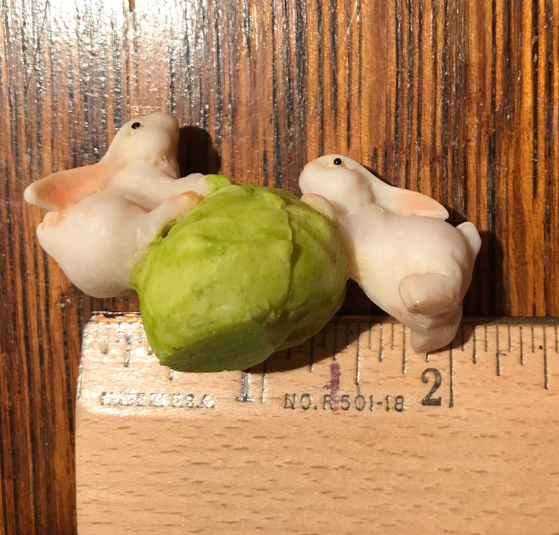 Sweet Rabbits Rolling Cabbage Bunny Rabbits With Cabbage | Etsy