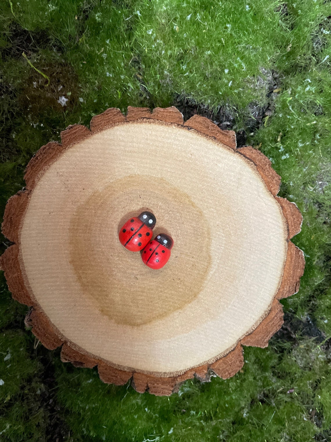 Self Adhesive Lady Bug Favors, 25-piece, Self Adhesive Lady Bug Wooden ...