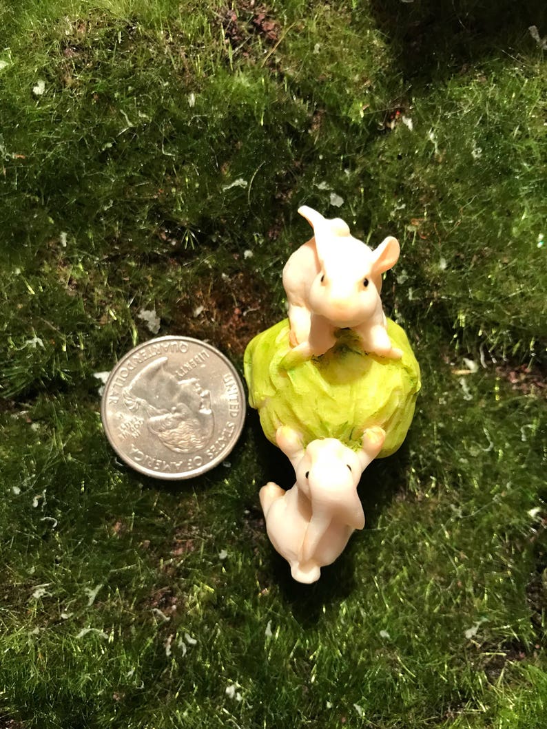 Sweet Rabbits Rolling Cabbage Bunny Rabbits With Cabbage | Etsy