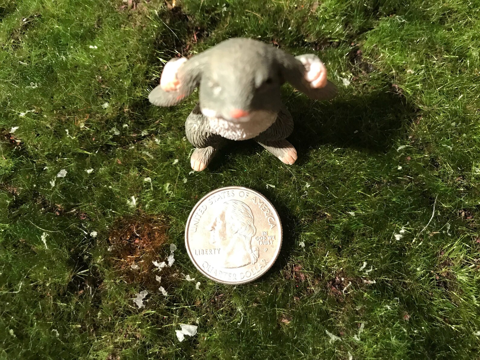 Adorable Rabbit Pulling His Ears. Bunny Rabbit Floppy Ears - Etsy