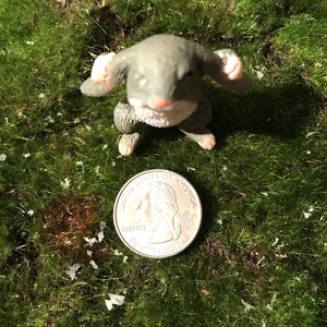 Adorable Rabbit Pulling His Ears. Bunny Rabbit Floppy Ears, Fairy ...