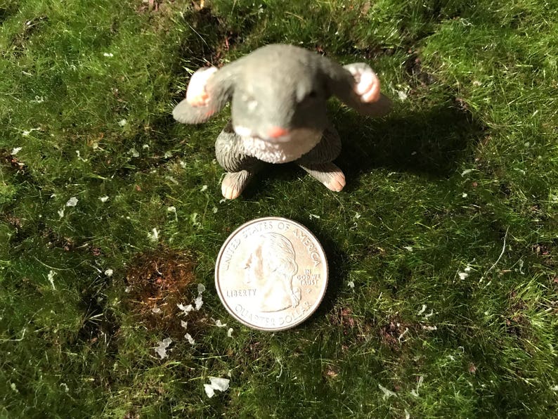 Adorable Rabbit Pulling His Ears. Bunny Rabbit Floppy Ears - Etsy