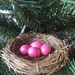 Pink Eggs in a Glitter 3" Bird Nest Ornament. Find a Bird Nest in Your ...