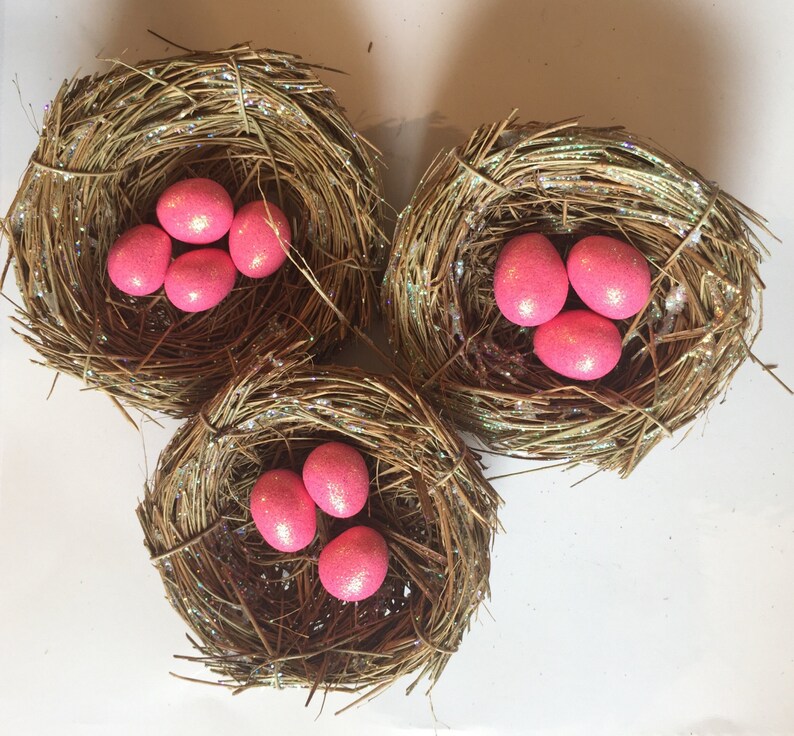 Pink Eggs in a Glitter 3" Bird Nest Ornament. Find a Bird Nest in Your ...