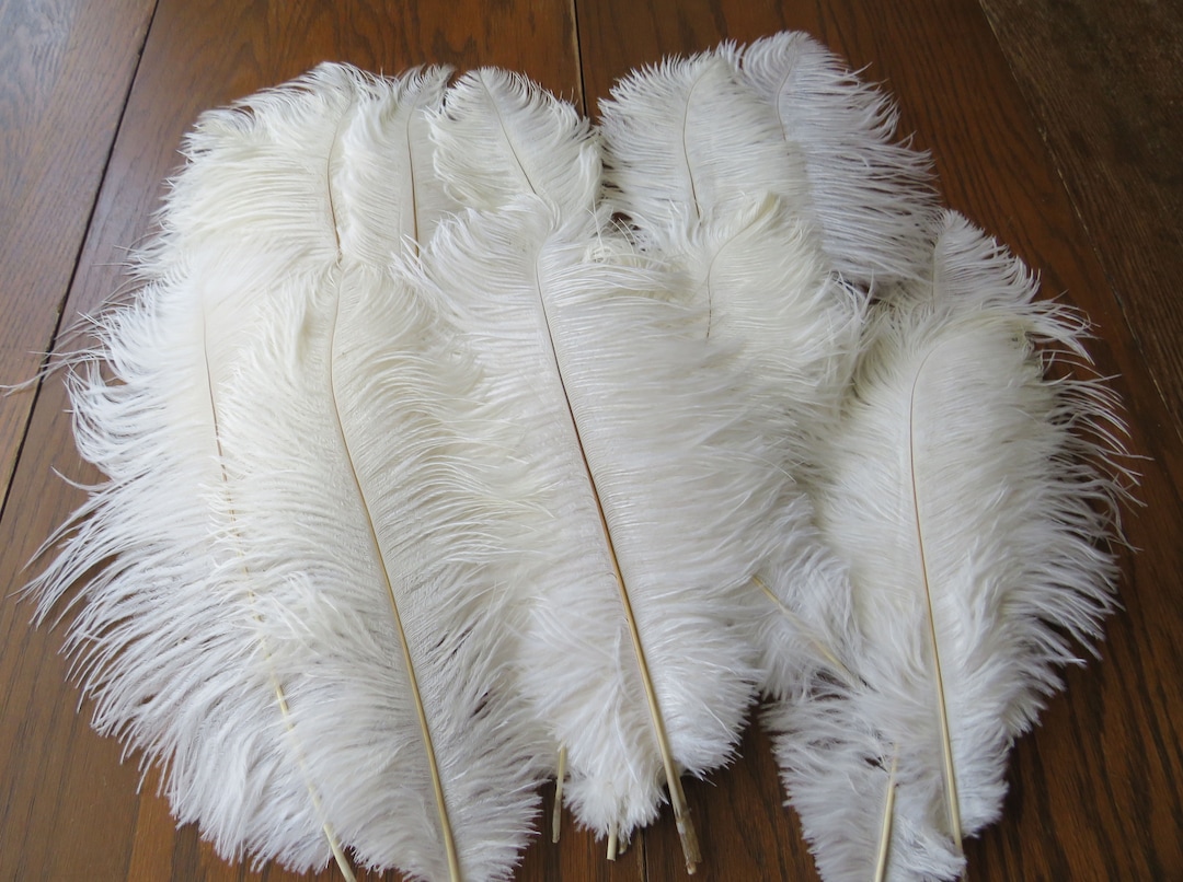 Lot 20 Vintage Large White Feathers Millinery Plume Hat Making ...