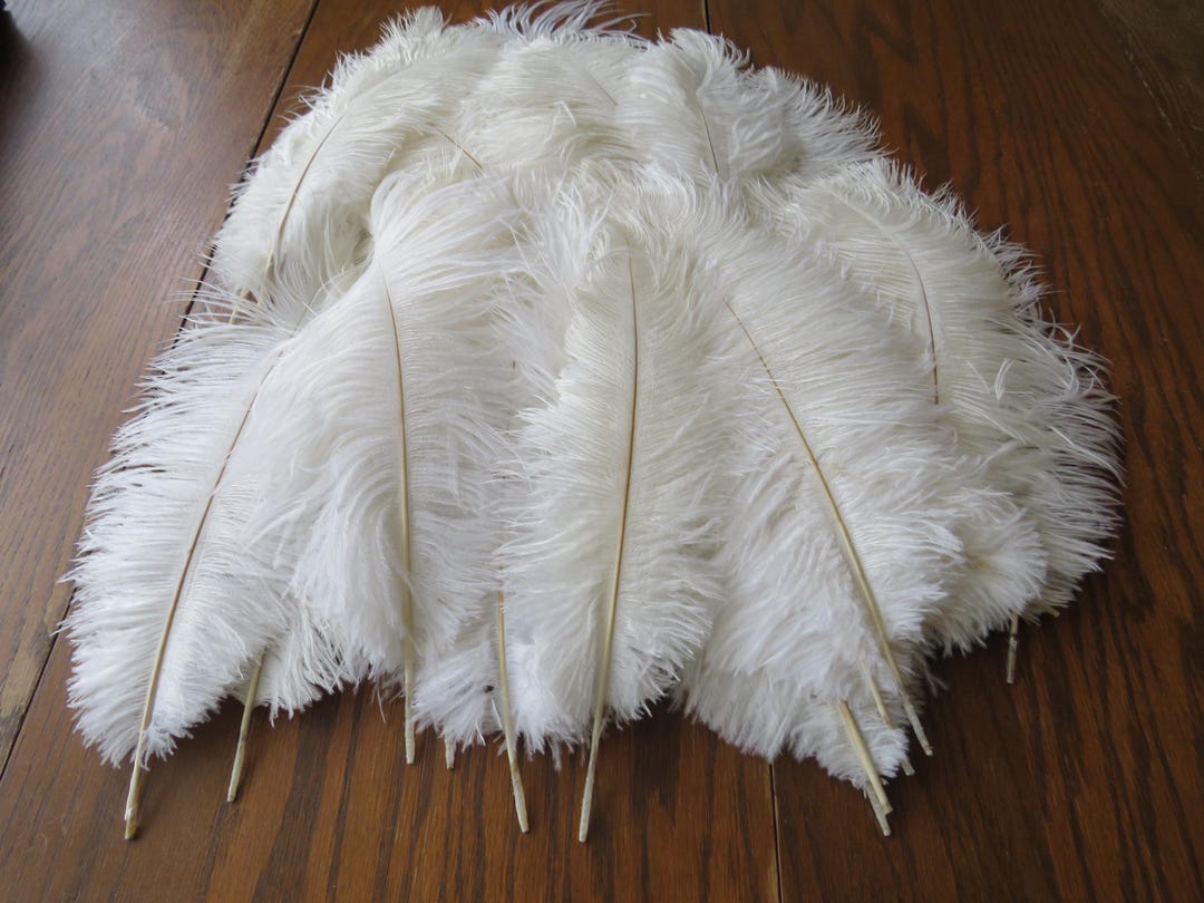 Lot 30 Vintage Large White Feathers Millinery Plume Hat Making ...